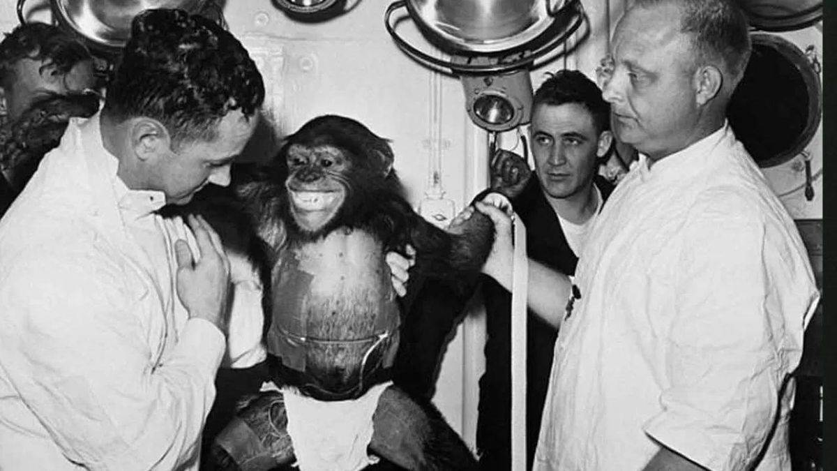 मिलिए अंतरिक्ष में जाने वाले दुनिया के पहले चिंपैंजी से, जिसे अमेरिकी ...