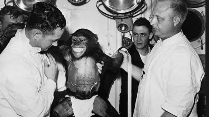 मिलिए अंतरिक्ष में जाने वाले दुनिया के पहले चिंपैंजी से, जिसे अमेरिकी ...