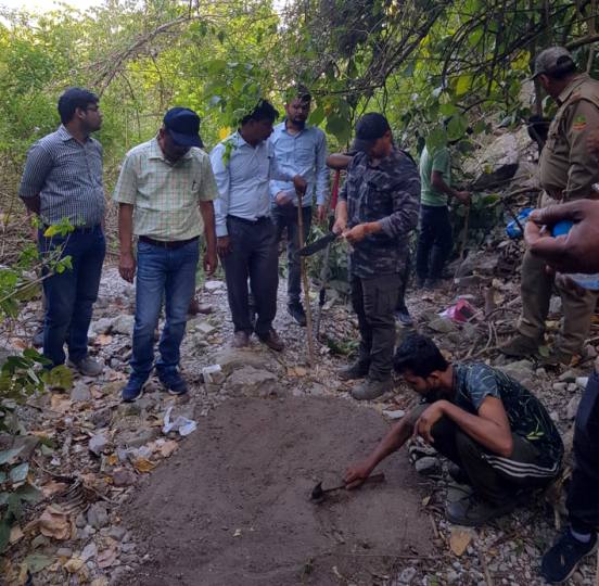 हिसक बाघ से मिलकर निपटेगा अल्मोड़ा व कालागढ़ वन प्रभाग - Almora and ...