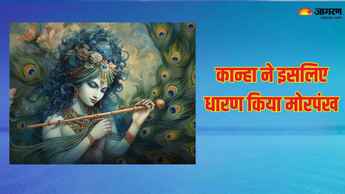 Krishna Morpankh: भगवान श्रीकृष्ण का श्रृंगार मोरपंख के बिना है अधूरा ...