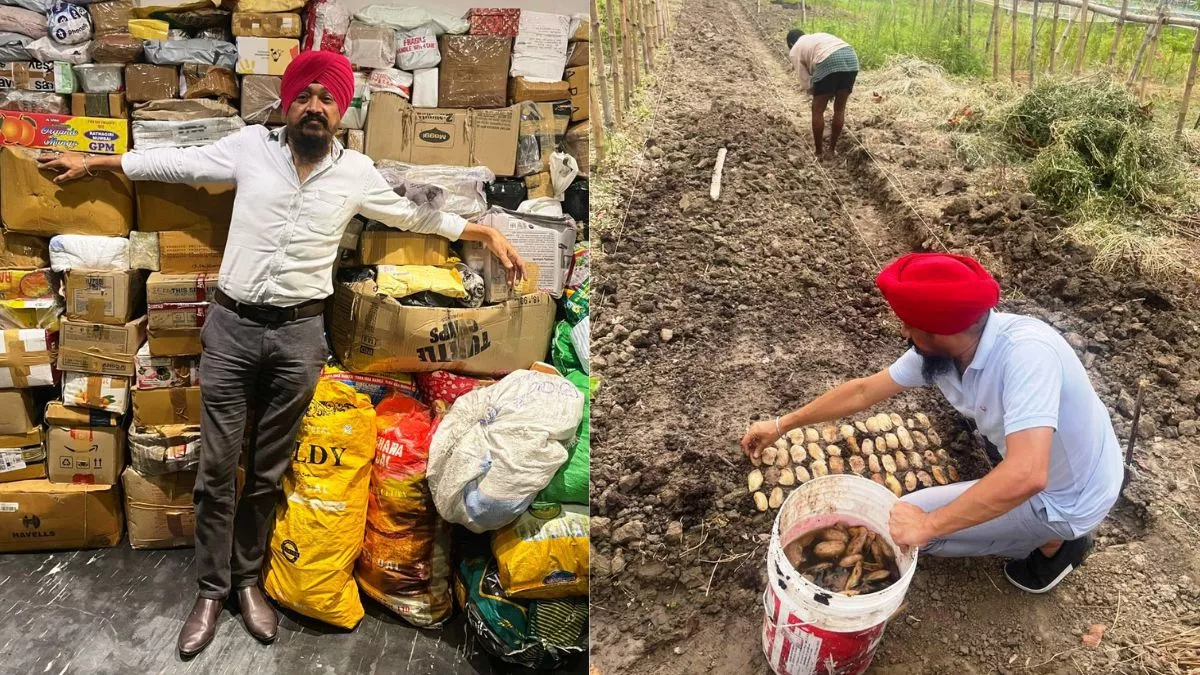 आम की गुठलियों से नई उम्मीद अंकुरित कर रहे जस्मीत सिंह अरोड़ा; पढ़ें ...