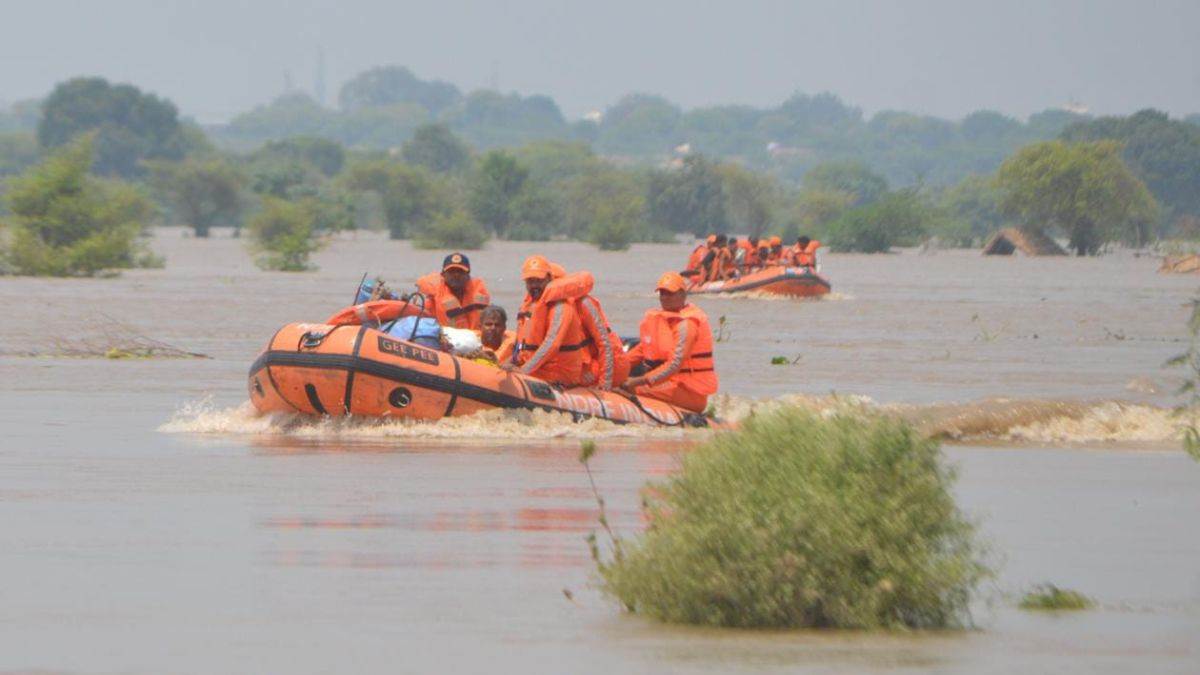 Agra Flood News: यमुना में उफान, 90 गांव डूबे, 800 बीघा फसल जलमग्न, NDRF ने टापू पर फंसा परिवार ...