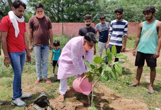 अभियान के तहत जिले में लगाए 13 हजार पौधे - 13 thousand saplings planted ...