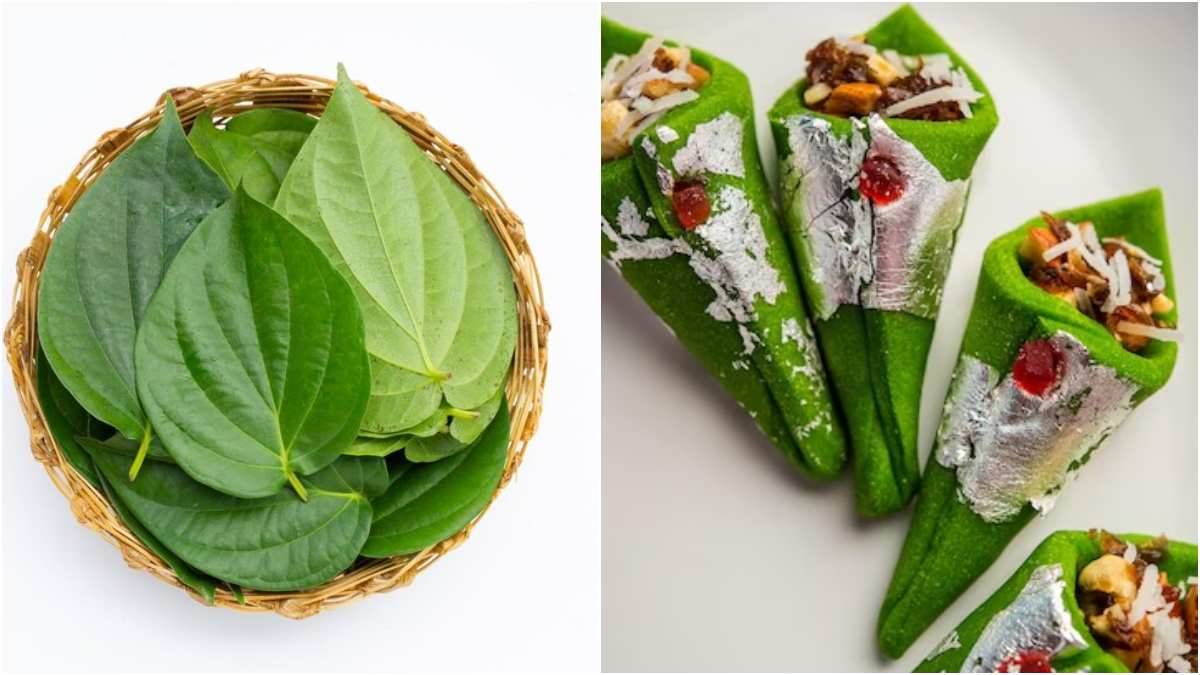 Paan Side Effects Paan Side Effects