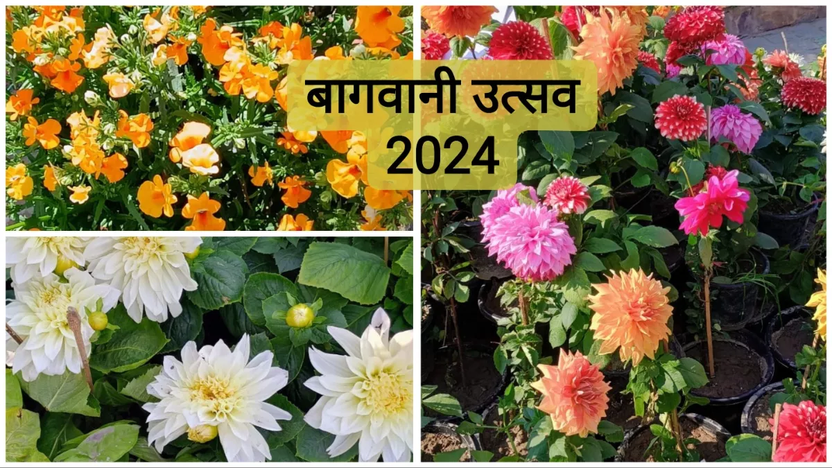 Bagwani Utsav: दिल्ली में 23 फरवरी से शुरू होने जा रहा है बागवानी उत्सव ...