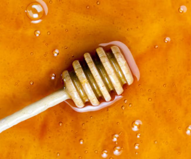 Honey Side Effects: शहद के फायदे तो खूब सुने होंगे, मगर आज पढ़ें इसे ...
