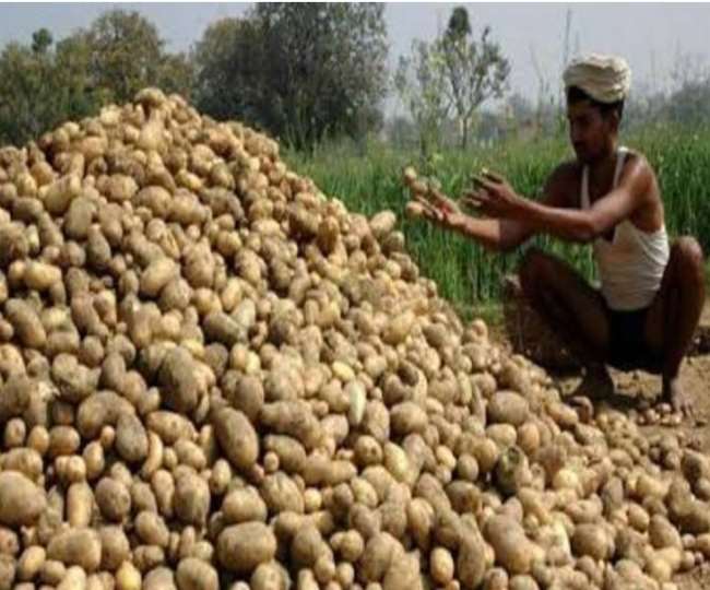 हाथरस में 10 कोल्‍ड स्‍टोर संचालकों को क्‍यों दिया नोटिस, ये है खास वजह ...