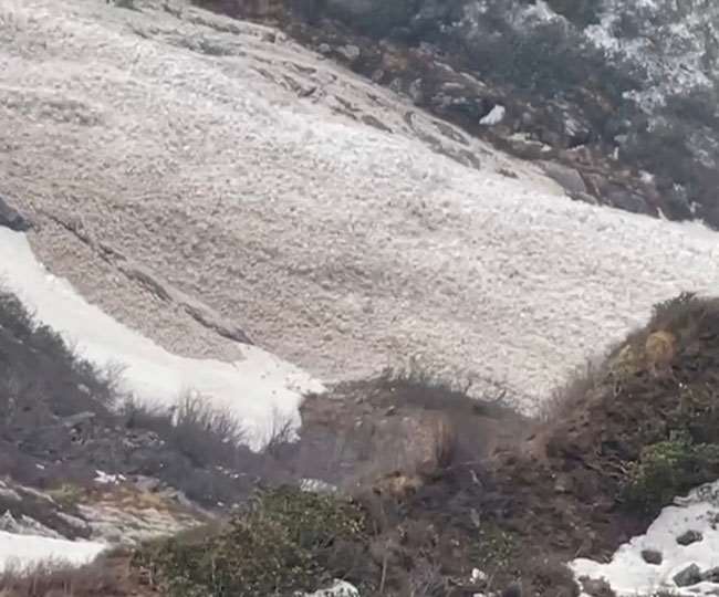 Uttarakhand Weather : हेमकुंड यात्रा मार्ग पर हुआ हिमस्खलन, रुड़की में ...