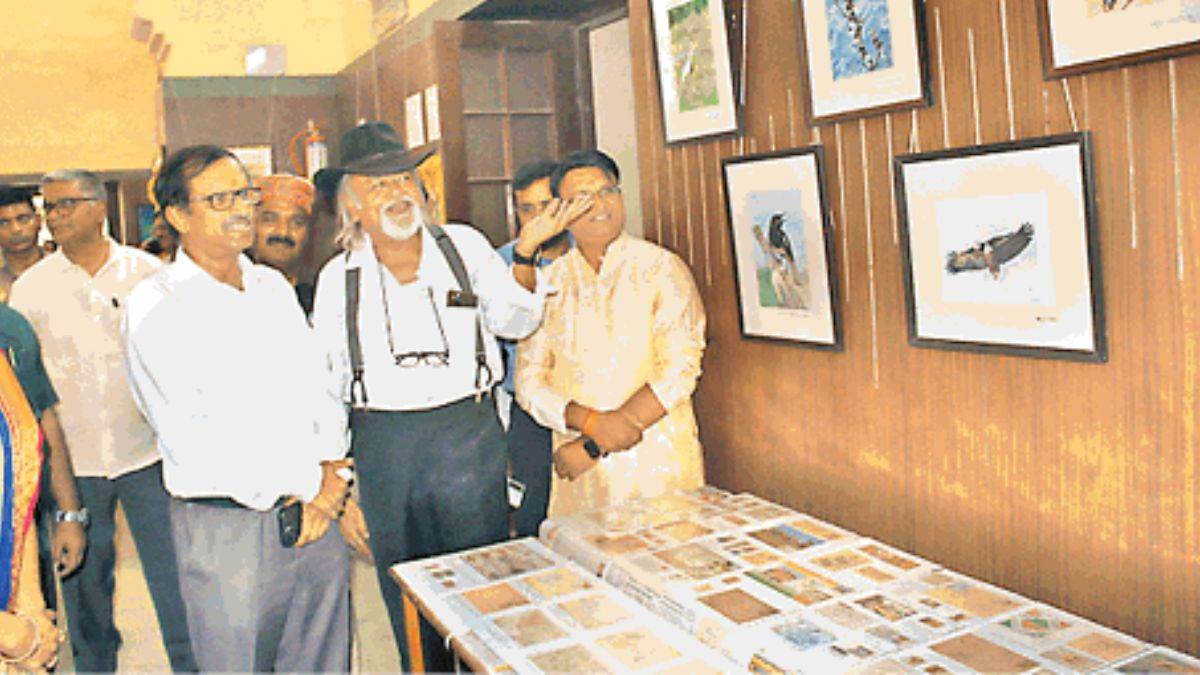 World Heritage Day: ये परिंदे भी धरोहर हैं, थाती मान इन्हें भी बचाइए ...