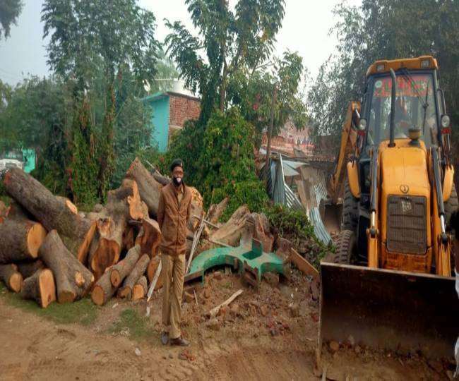 हरे पेड़ों की कटाई जारी, दर्जनों अवैध आरा मिल का हो रहा संचालन, मालिकों ...