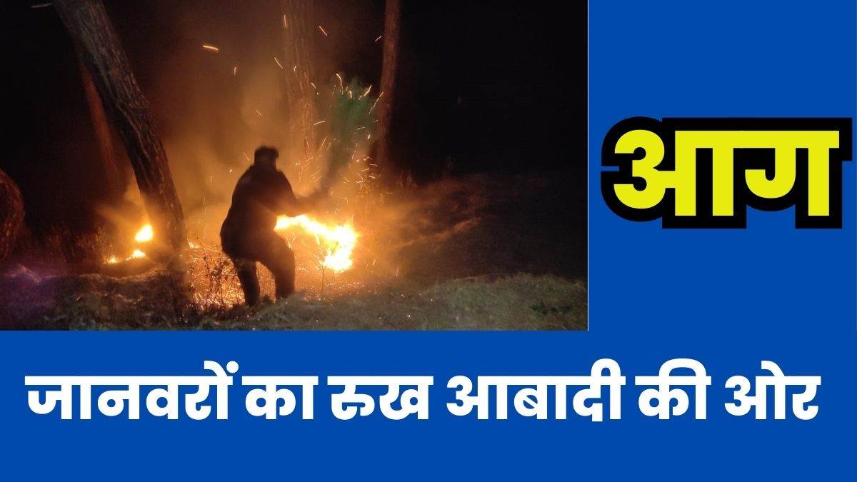Bageshwar News : बागेश्वर में जंगलों की आग होने लगी बेकाबू, कपकोट ...