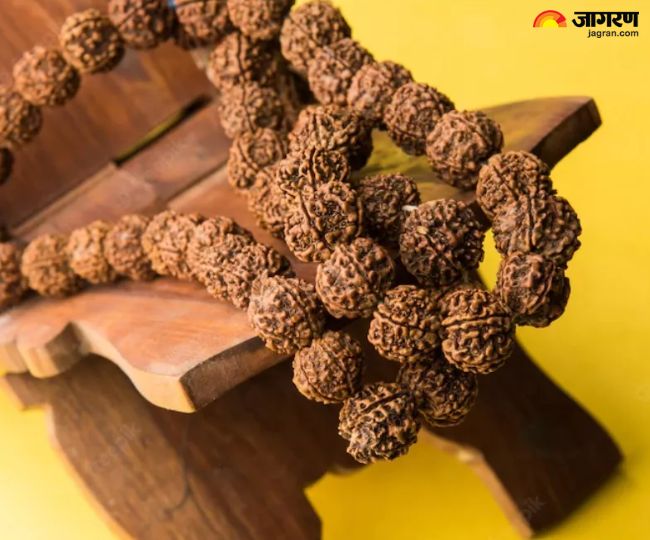 Rudraksha: भगवान शिव को प्रिय है रुद्राक्ष, जानें कैसे हुई इसकी ...