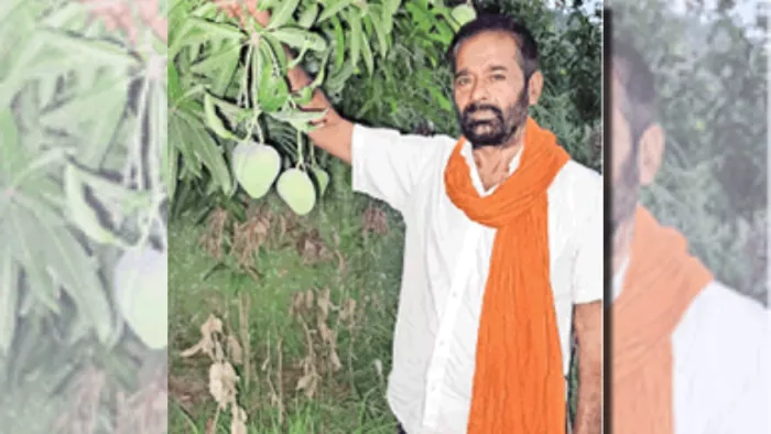 Operation Sindoor के बाद आम की नई वैरायटी का नाम रखा 'सिंदूर', मैंगो ...