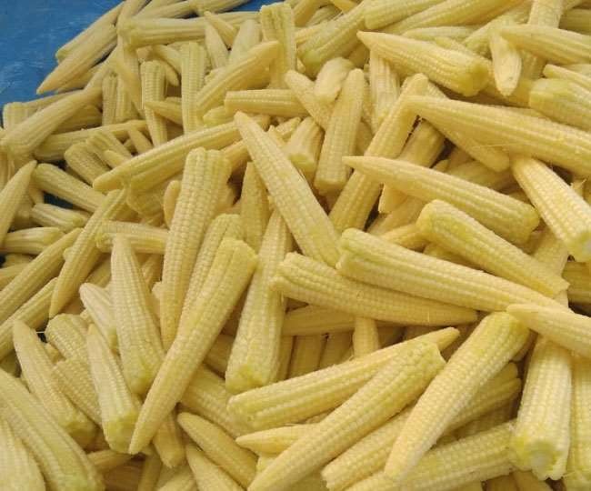 Business Idea: केवल 15000 की लागत में जबरदस्त कमाई कराएगा ये बिजनेस ...