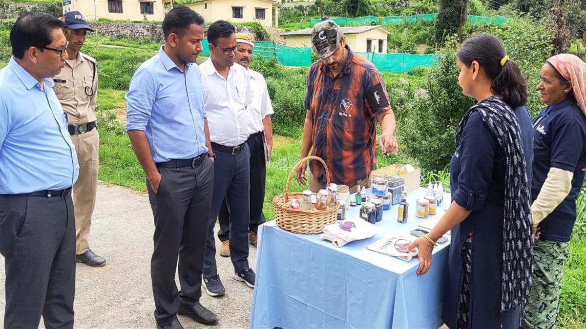 डीएम ने दिए बद्रीगाय के संरक्षण के निर्देश - dm narendra bhandari ...