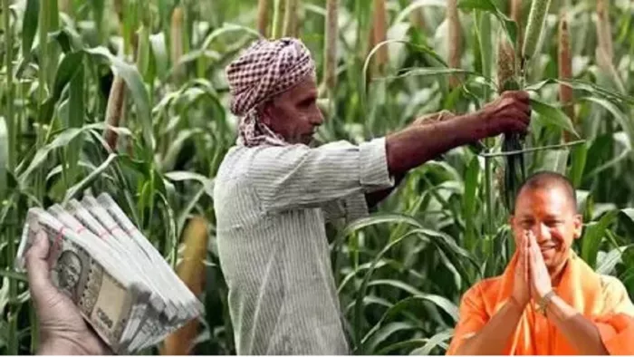 Millet Farming in UP : योगी आदित्यनाथ सरकार बाजरा किसानों को कर रही ...