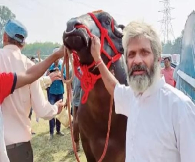 Meerut: ये भैंसा दस करोड़ का क्‍यों ? ‘गोलू-टू’ को देखकर केंद्रीय ...