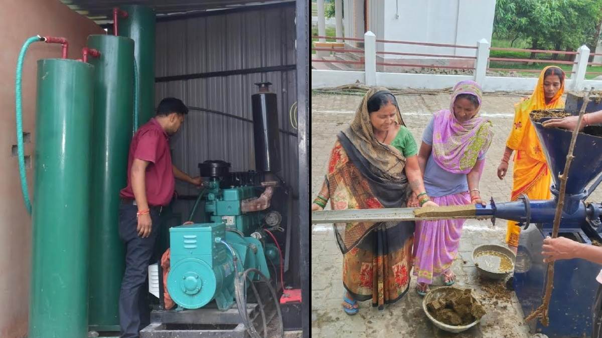 आत्मनिर्भरता की मिसाल- गोसेवा और संरक्षण से गांव में 24 घंटे बिजली की ...
