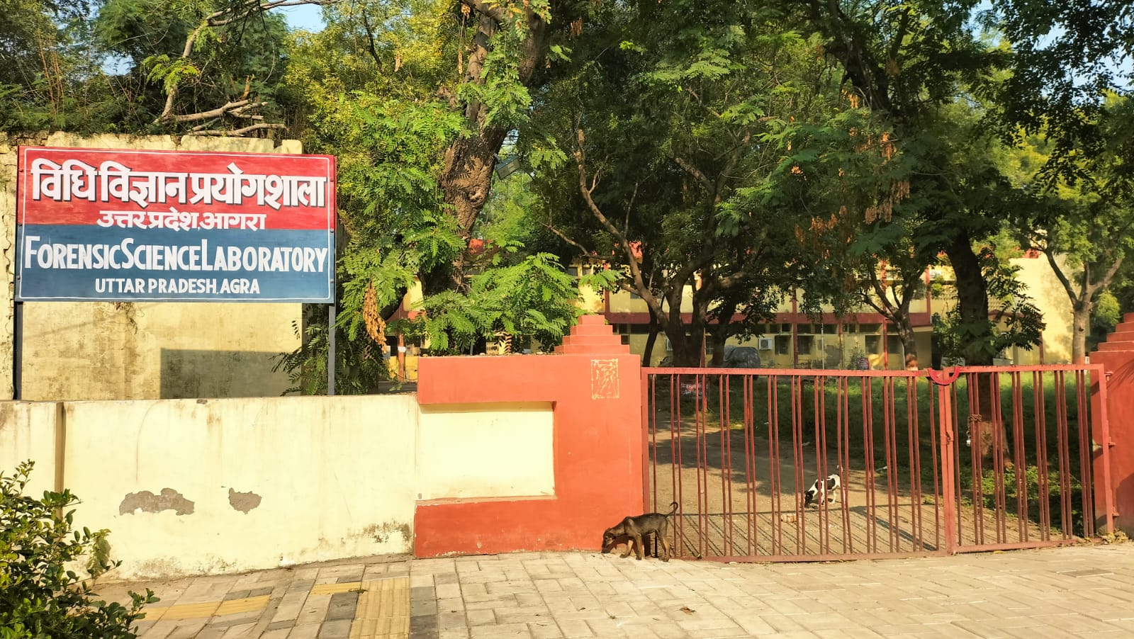 Pollen Profiling: परागकणों की जांच से भी अपराधियों के खिलाफ मिल सकते ...