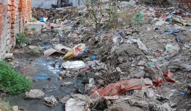 गीले और सूखे कूड़े के फेर में फंसी जागरूकता, जानिए कैसे - dray and bet ...