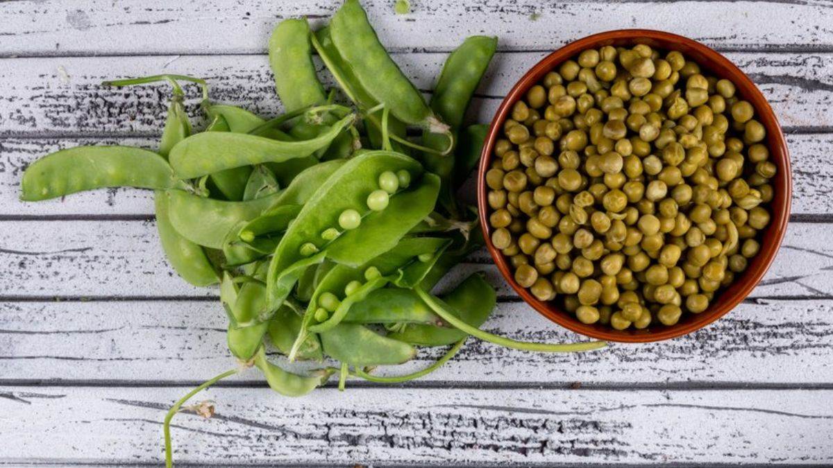 Pea Peel Benefits: मटर ही नहीं इसके छिलके भी है काफी फायदेमंद, जानिए ...