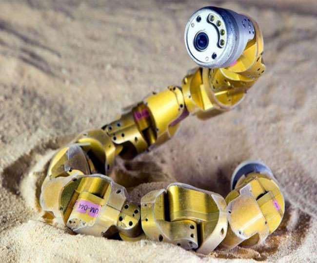 ऊबड़-खाबड़ जगहों पर चलने में माहिर है सांप की तरह रेंगने वाला यह रोबोट ...