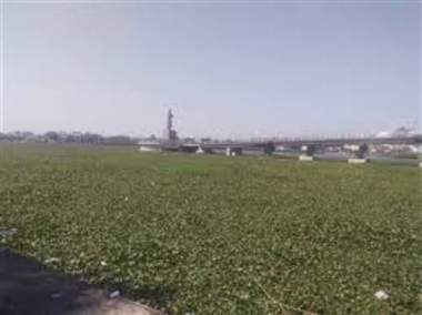 हाई कोर्ट की टिप्पणी, बड़ा तालाब की कर दी गई दुर्दशा - Bad condition of ...