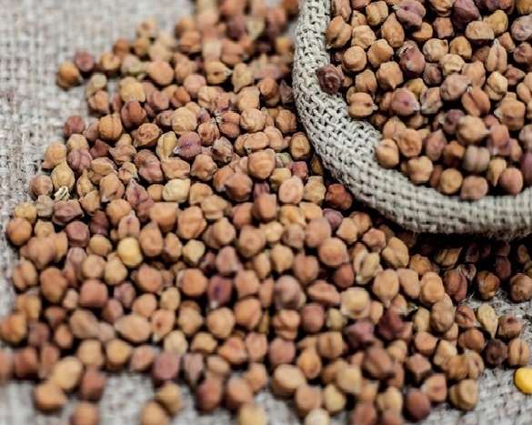 60 ग्राम के डिब्बे में 820 ग्राम चना, कोटेदार पर दस हजार जुर्माना ...