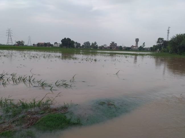 पहाड़ों पर चल रही बरसात, बढ़ सकता है मारकंडा नदी का जलस्तर - Rainfall ...