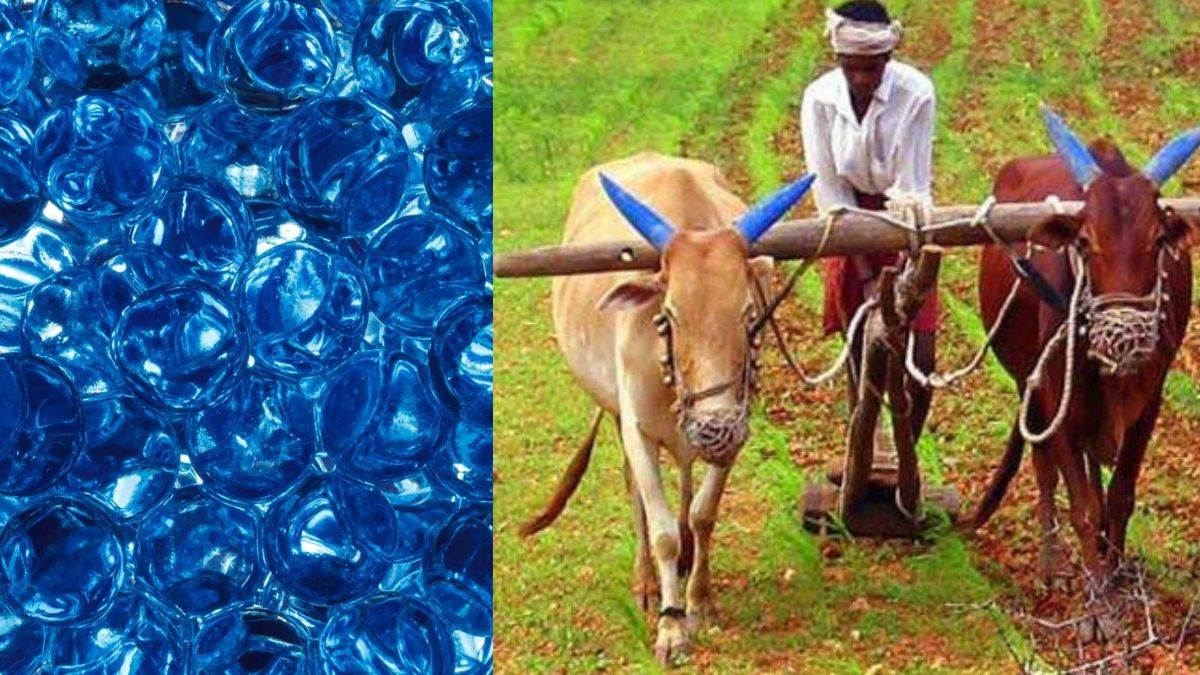 Hydrogel: जानिए, क्या होता है हाइड्रोजेल... जो सूखे से निबटने में ...