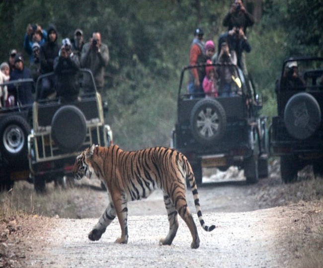 Corbett Park में अब जिप्सी की जगह टाटा के वाहनों में होगी जंगल सफारी ...