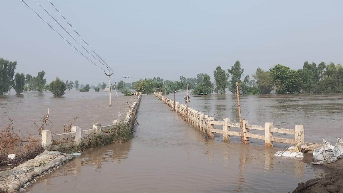 Fazilka Flood: 12 सरहदी गांवों को जोड़ने वाला पुल हुआ ओवरफ्लो, यातायात ...