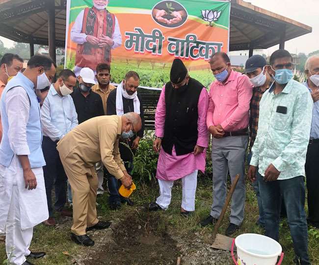 कंडोली में भाजपा कार्यकर्त्‍ताओं ने बनाई मोदी वाटिका, रोपे फलदार पौधे ...