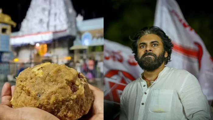 Tirupati Laddu Case: 'जब तक हिंदू एकजुट नहीं होंगे...' पवन कल्याण ने क्यों की 'सनातन धर्म रक्षण ...