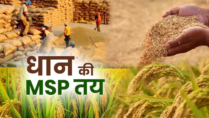 Paddy MSP Increased: सरकार ने 69 रुपये बढ़ाया समर्थन मूल्य, पश्चिमी ...