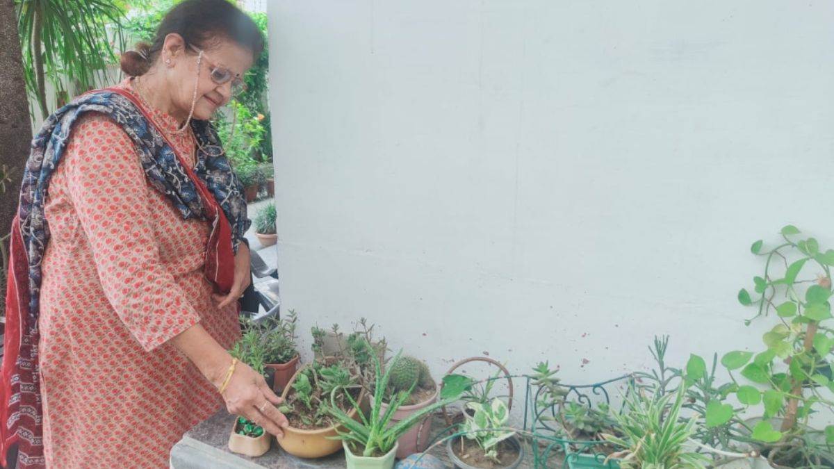 सब्जियों के छिलके व पत्तों से खाद बनाती हैं गोरखपुर की शीला, 78 साल की ...