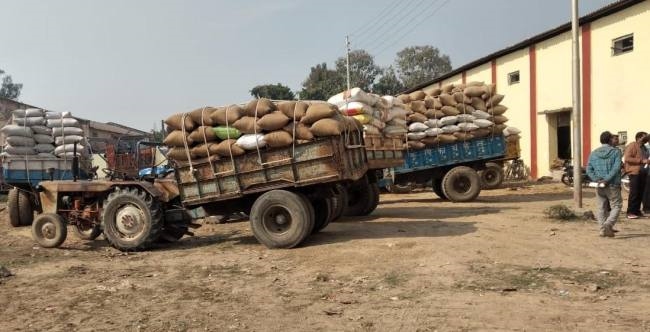 हकीकत बयां कर रहे धान लदे ट्रैक्टर व रखवाली करते किसान - Paddy ...