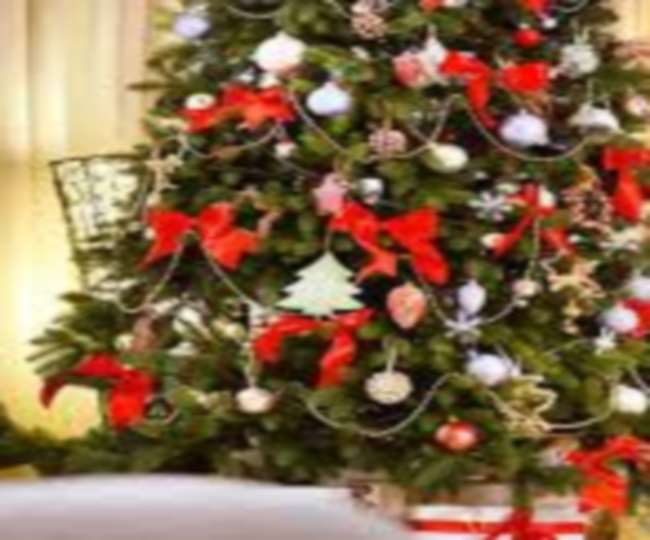 CRISTMAS 2020 : दस हजार रुपए तक की बिक रही क्रिसमस ट्री, रंग-बिरंगे ...