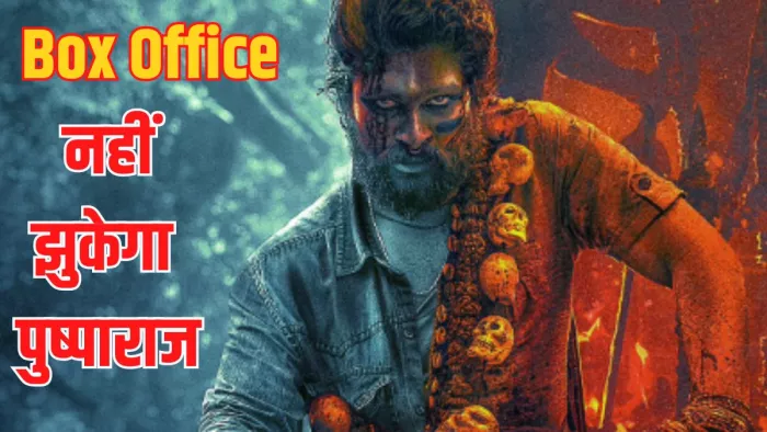 Pushpa 2 Worldwide Collection: अपने उसूलों का पक्का निकला 'पुष्पाराज ...