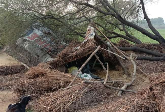 बारिश के साथ आई आंधी में झोपड़ी पर पेड़ गिरने से सो रहा परिवार दबा ...