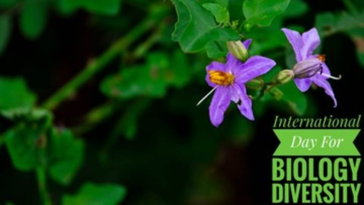 international-biological-diversity-day