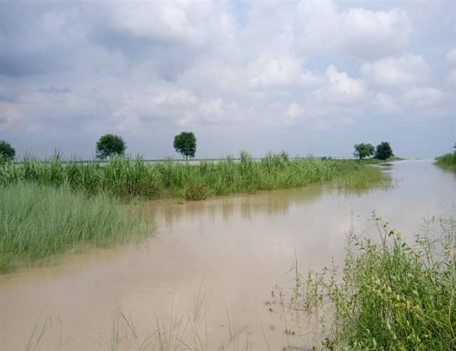 बलिया जिले में सरयू नदी का पानी खतरे के निशान से ऊपर, नदी के पानी में ...