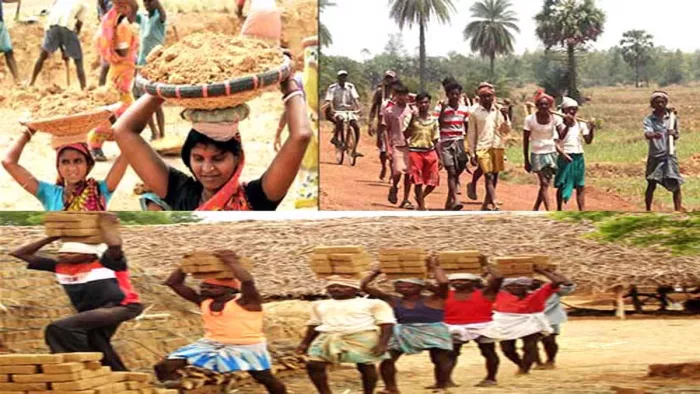 MGNREGA मनरेगा पर मोदी सरकार का बड़ा फैसला, मजदूरों को अब करना होगा ये ...