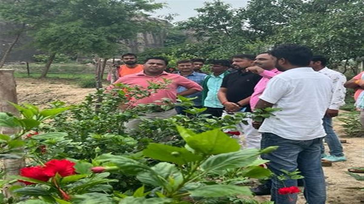 बभनी पंचायत अमृत सरोवर जिले के लिए बना प्रेरणा स्रोत - Babhani ...