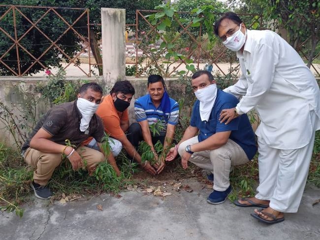 भाजपा नेताओं ने कालिया कॉलोनी में किया पौधारोपण - BJP leaders plant ...