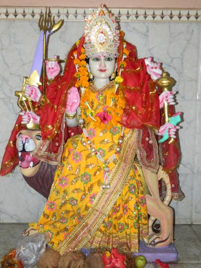 स्कंद माता के दर्शन को उमड़े भक्त, देवी दरबार में विविध अनुष्ठान ...