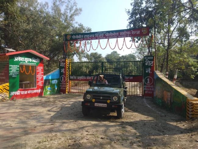 महोफ रेंज गेट से 52 किमी जंगल का दीदार - pilibhit tigar reseve movment ...