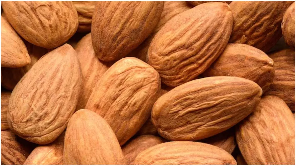 Almonds Side Effects: कड़वा बादाम खा लेने से क्या होता है? क्या ये सुरक्षित है? - How Safe Is it ...