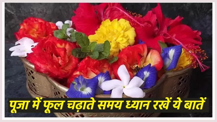 Puja Path Tips: जानिए किस देवी-देवता को कौन-सा फूल चढ़ाएं और कौन-सा ...