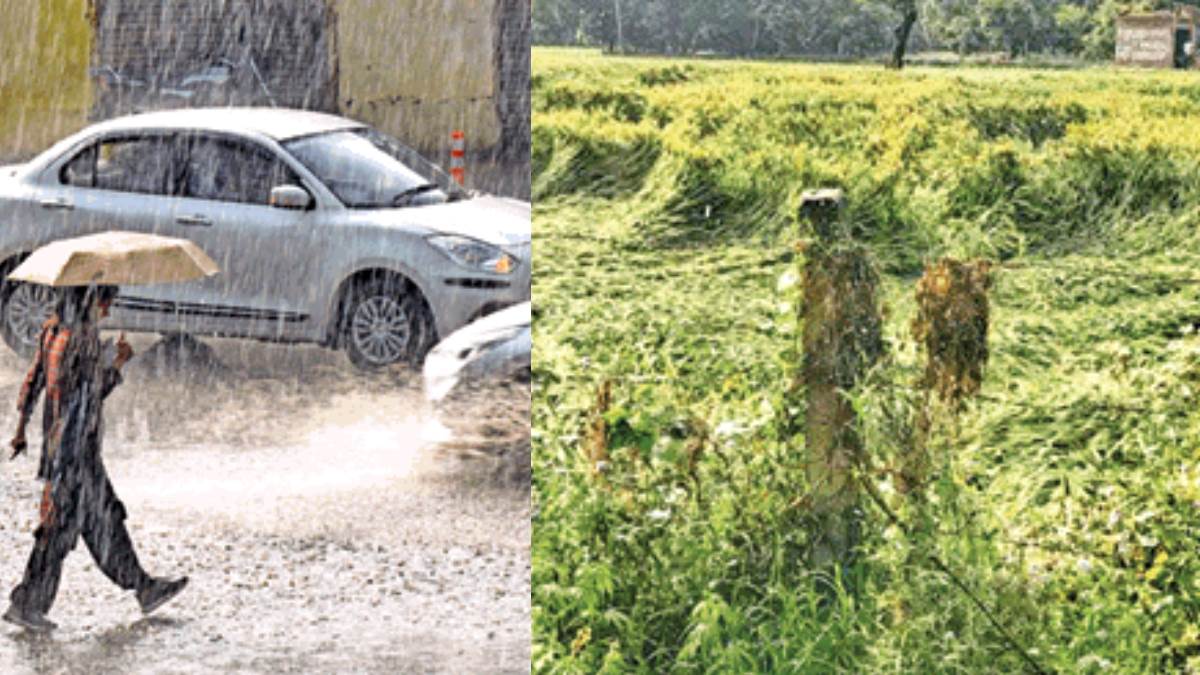 UP Weather News: बरसती रहीं बूंदें, डूबती रहीं उम्मीदें; खंभे संग गिरे ...